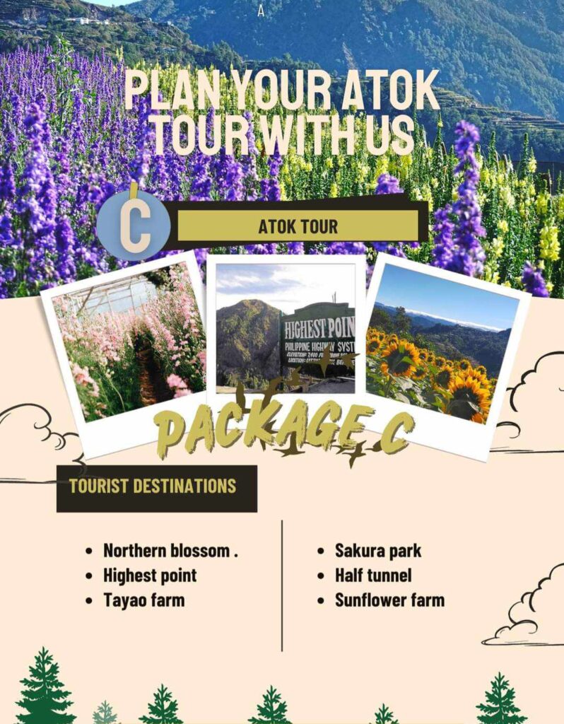 Atok tour package for 1-4 guests or Couple - Rent Baguio Transients